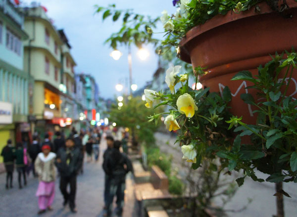 Sikkim Travel Information - Trust The Locals